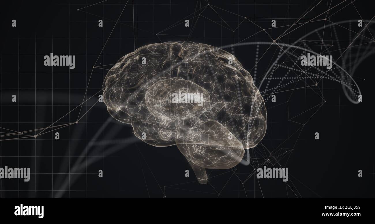 Digital image of human brain and dna structure spinning against network ...