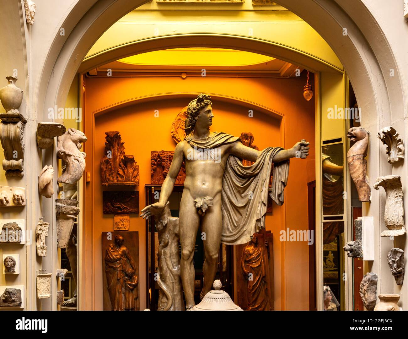 JOHN SOANE'S MUSEUM LONDON THE DOME AREA AND THE FULL SIZE CAST OF THE ...