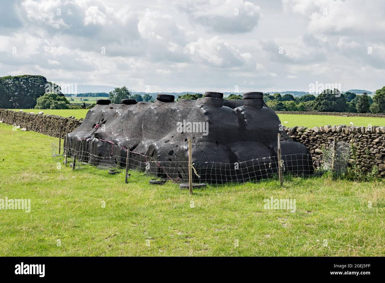 Bale damage protecting stacked bales hi-res stock photography and ...