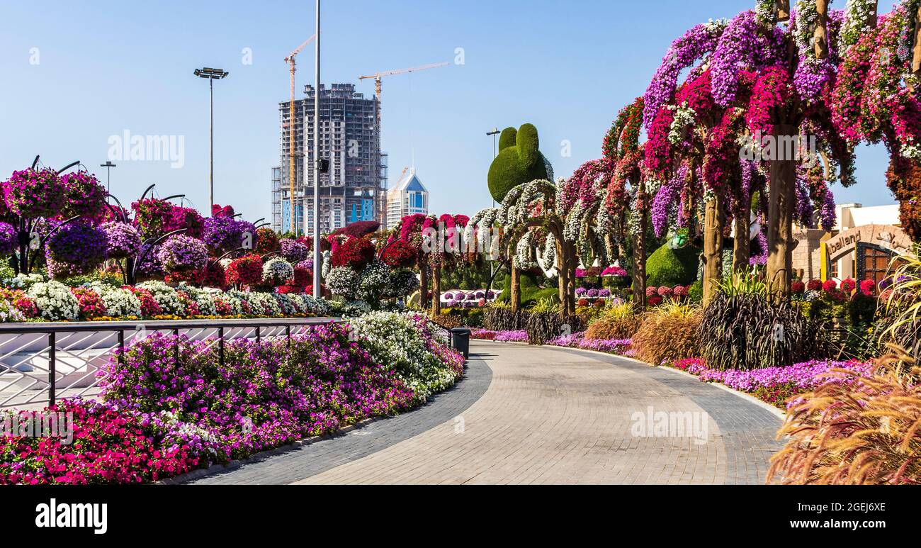 Dubai, UAE - 03.06.2020 Flower and landscaping installations in Dubai ...