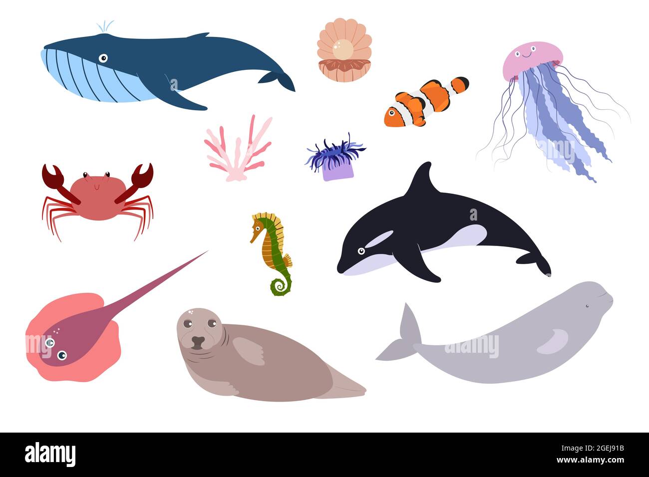 Sea Animals List Of 20 Interesting Sea Ocean Animals With The Deep Sea