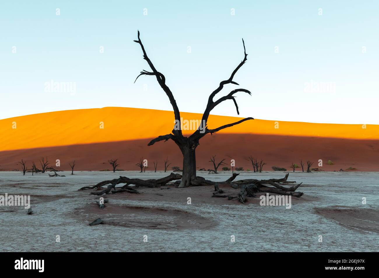 Mist in namibian desert hi-res stock photography and images - Alamy