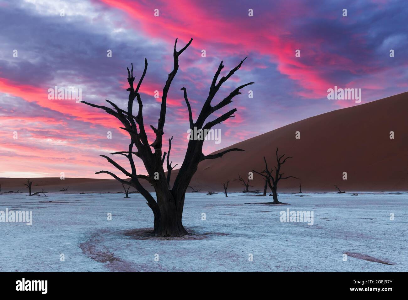 Dead Camelthorn Trees at sunset, Deadvlei, Namib-Naukluft National Park ...