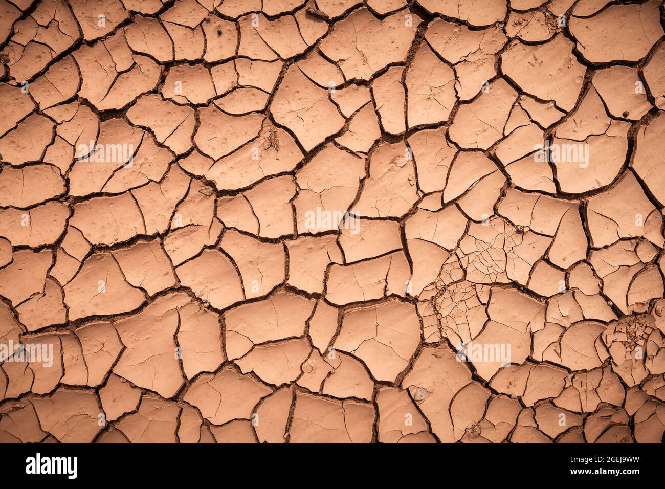 Cracked land texture. Beautiful nature background for your project ...