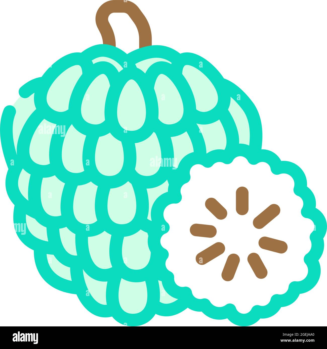 custard apple fruit color icon vector illustration Stock Vector Image ...