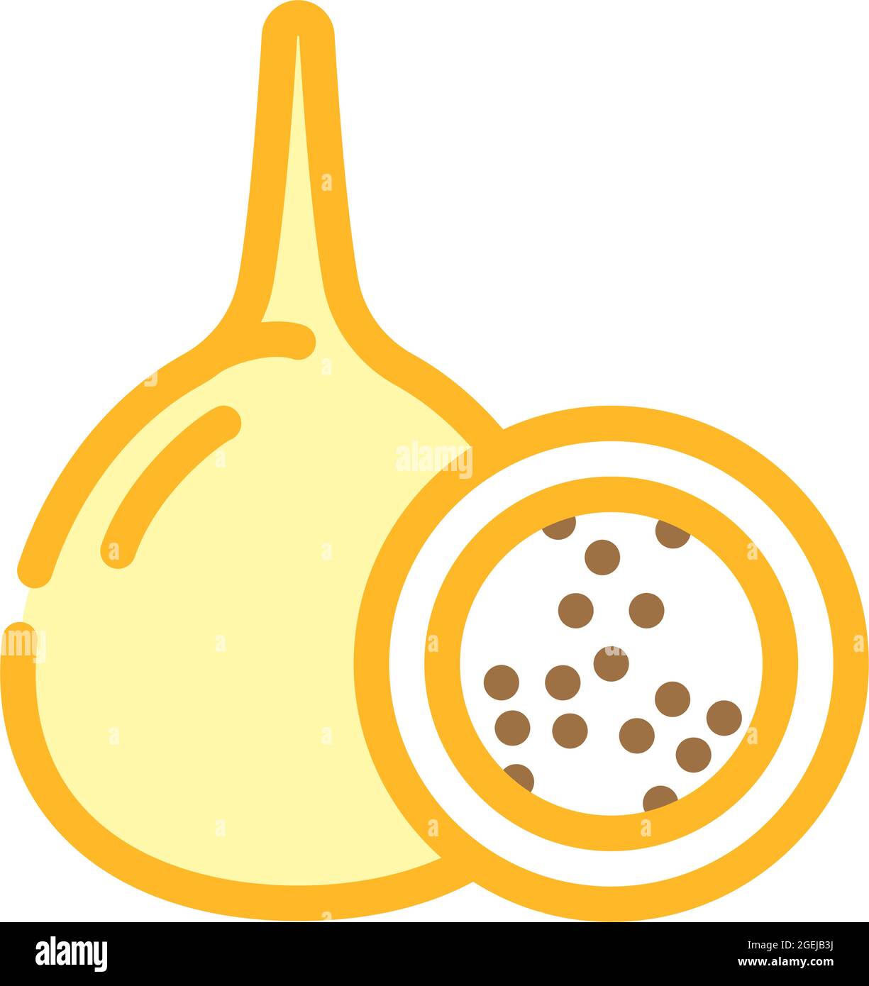 granadilla fruit color icon vector illustration Stock Vector Image ...
