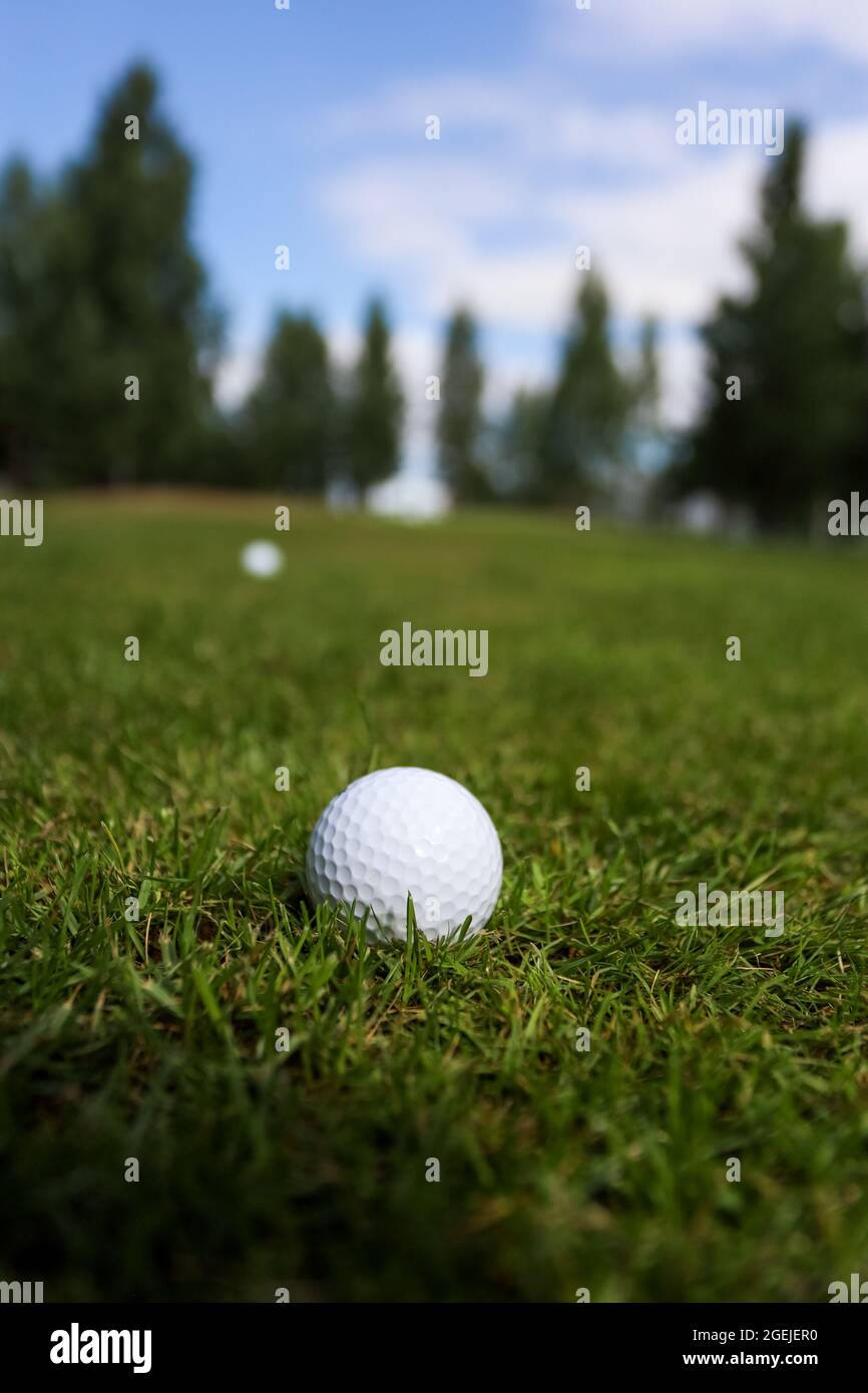Golf ball on a green grass background Stock Photo - Alamy