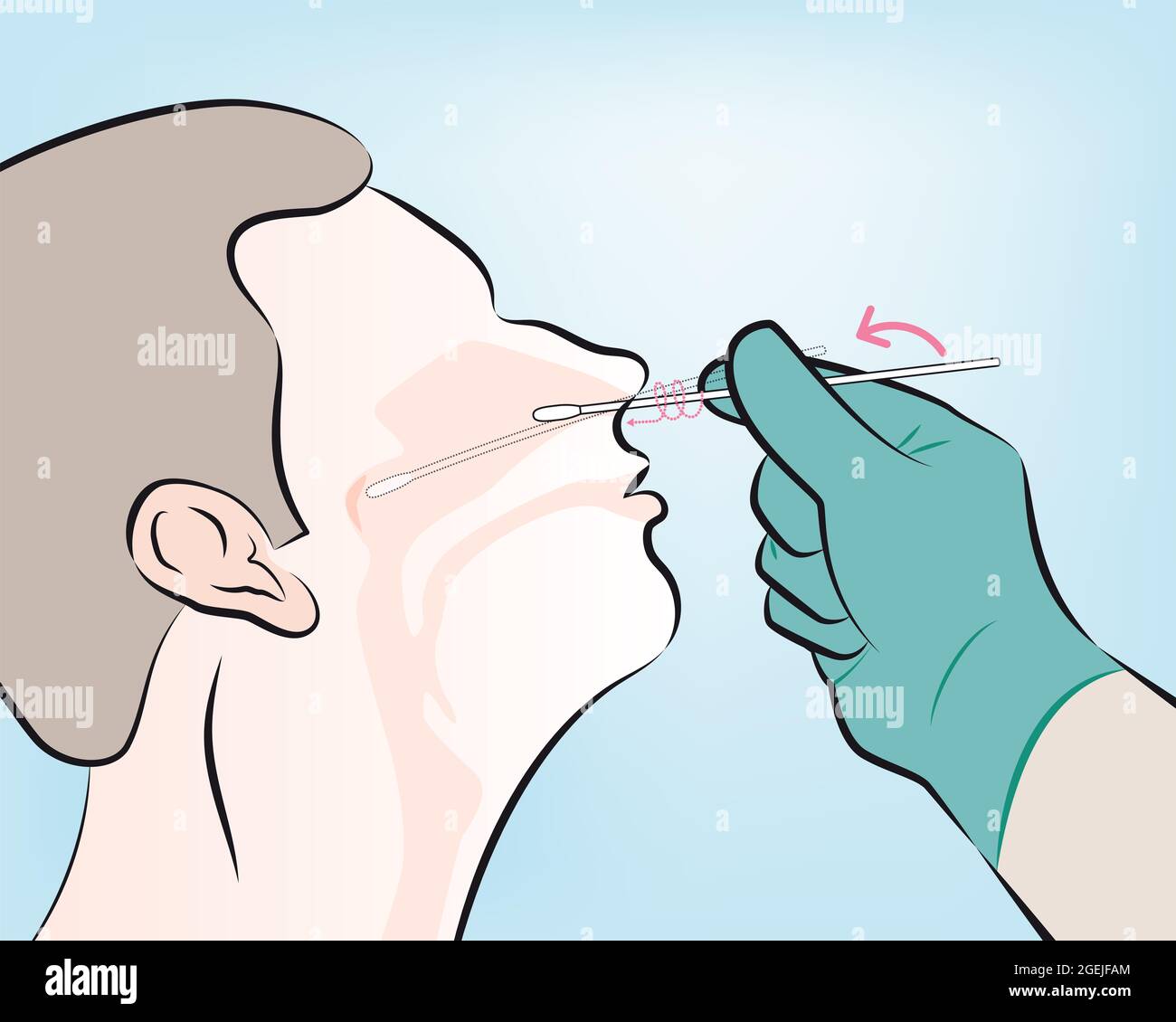 Nasal septum hi-res stock photography and images - Alamy