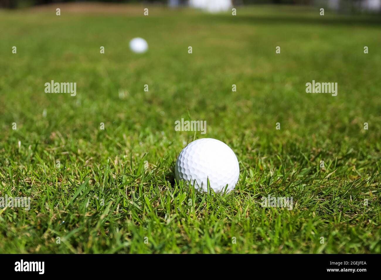 Golf ball on a green grass background Stock Photo - Alamy