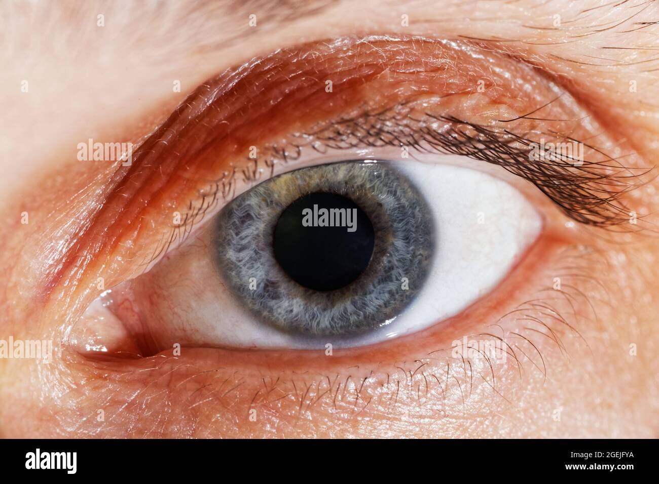 Macro detail photo of open human eye Stock Photo - Alamy