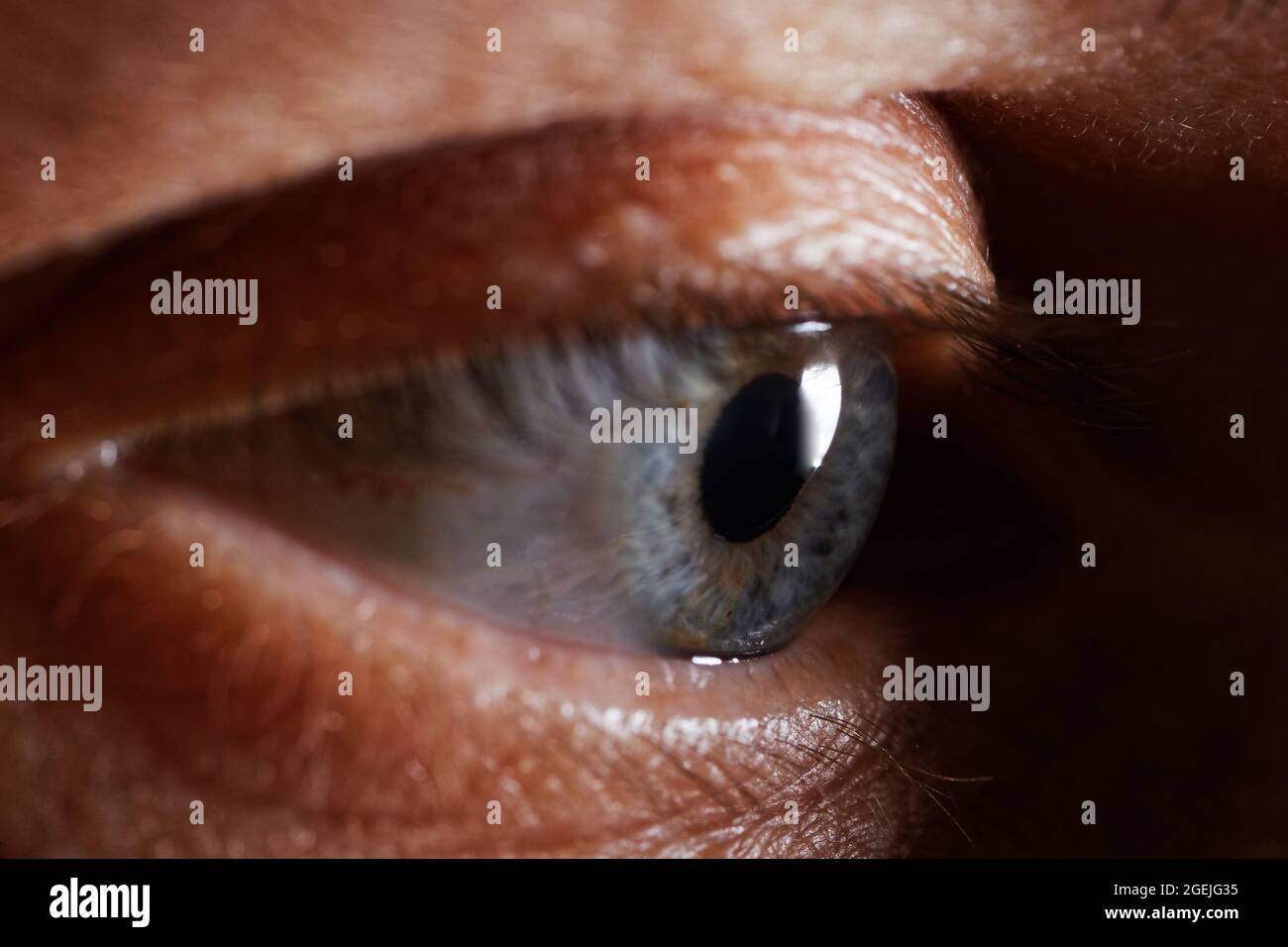 Macro detail photo of open human eye. Shallow focus Stock Photo - Alamy