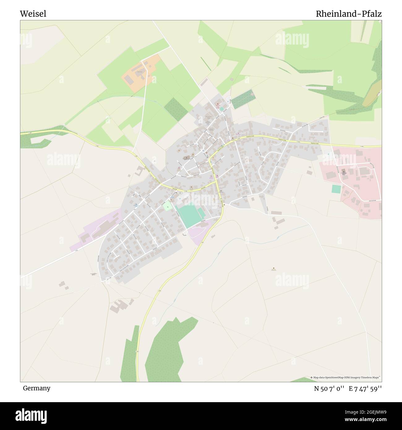 Weisel Cut Out Stock Images & Pictures - Alamy