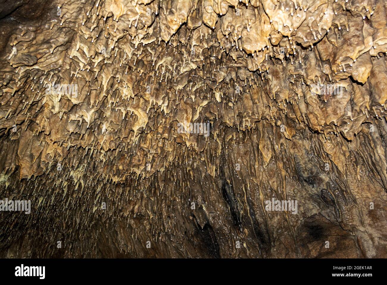 Cave stalactites and formations in Bat cave at Hymettus, Greece Stock ...