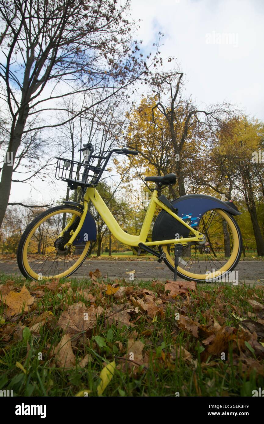 Mountain bike in the autumn park. Around the yellow autumn leaves Stock ...