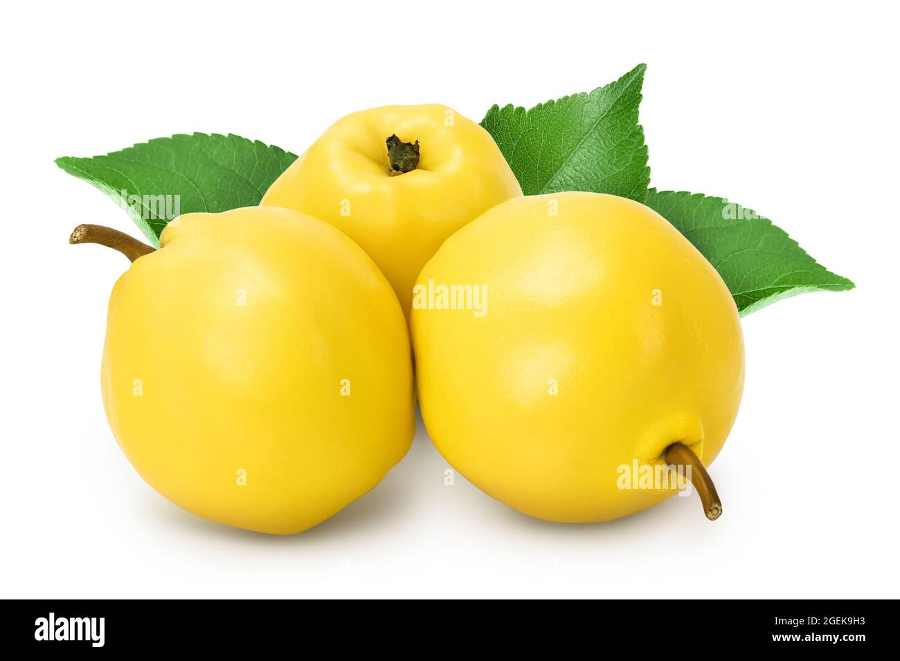 Fresh quince isolated on the white background with clipping path and ...