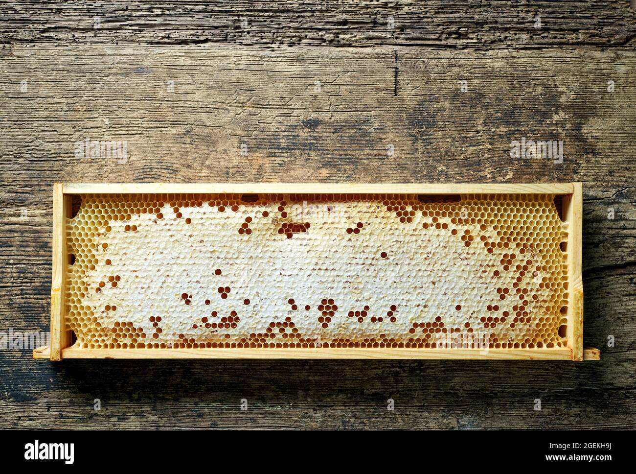 wooden frame of honey combs on rustic kitchen table, top view Stock ...