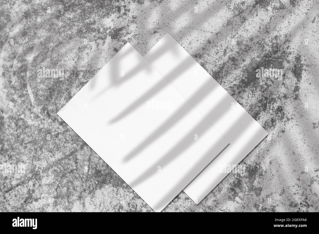 Two empty white rectangle poster diagonal mockups with palm shadow ...