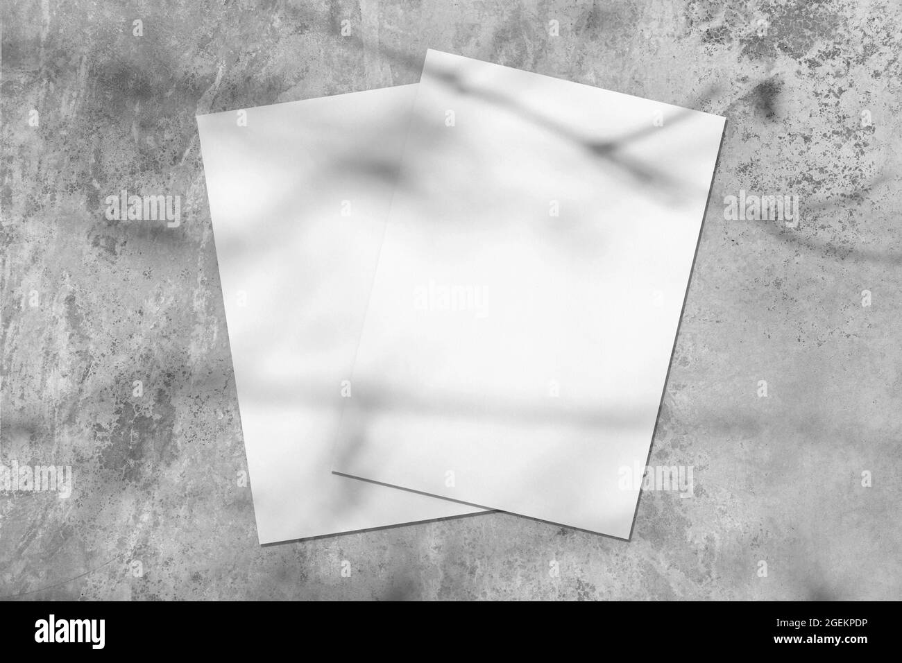 Two empty white rectangle poster diagonal mockups with tree shadow ...
