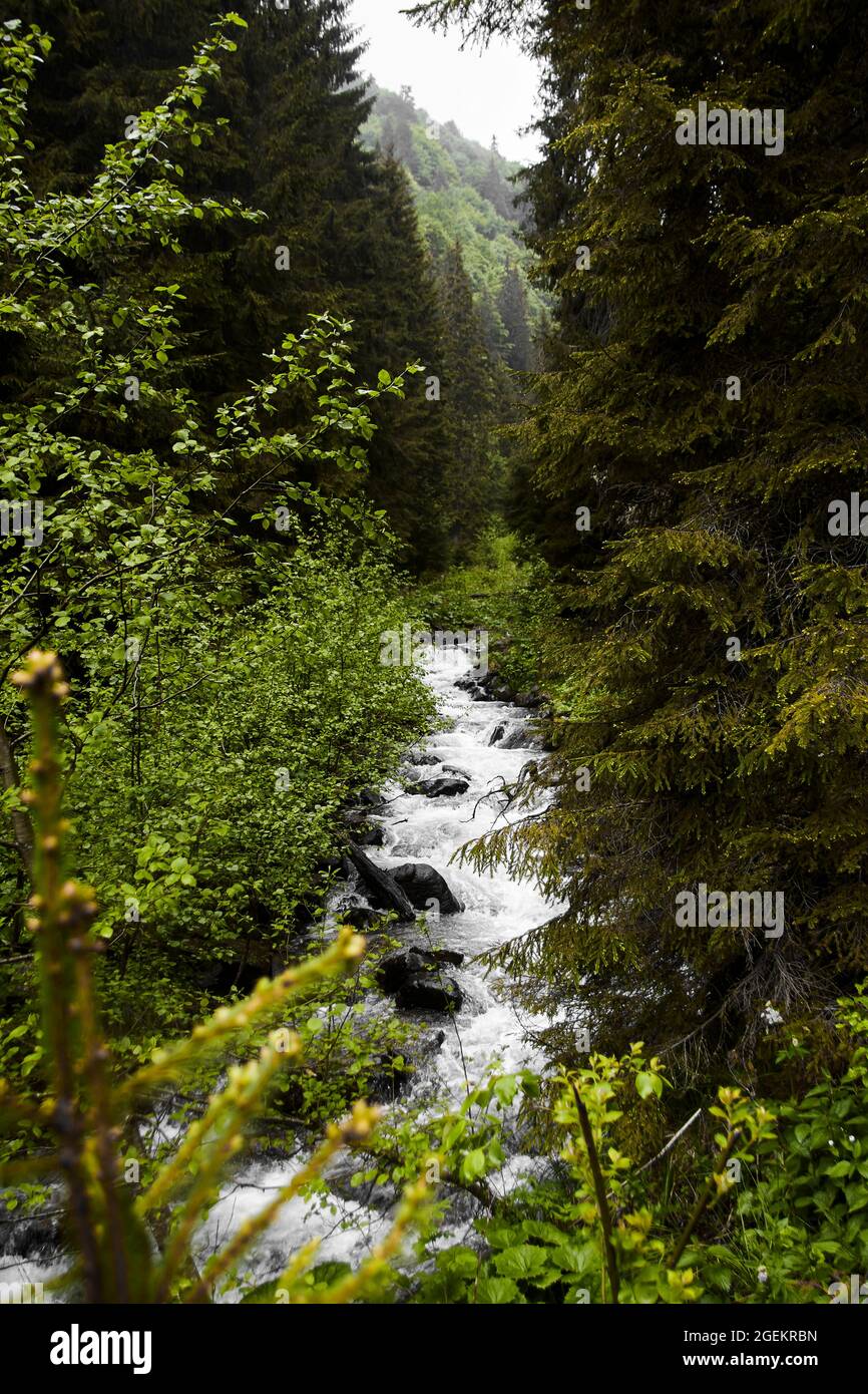 Beautiful small rocky creek waterfall hi-res stock photography and ...