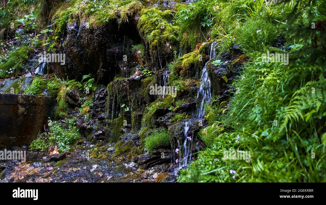 A small waterfall close up Stock Photo - Alamy