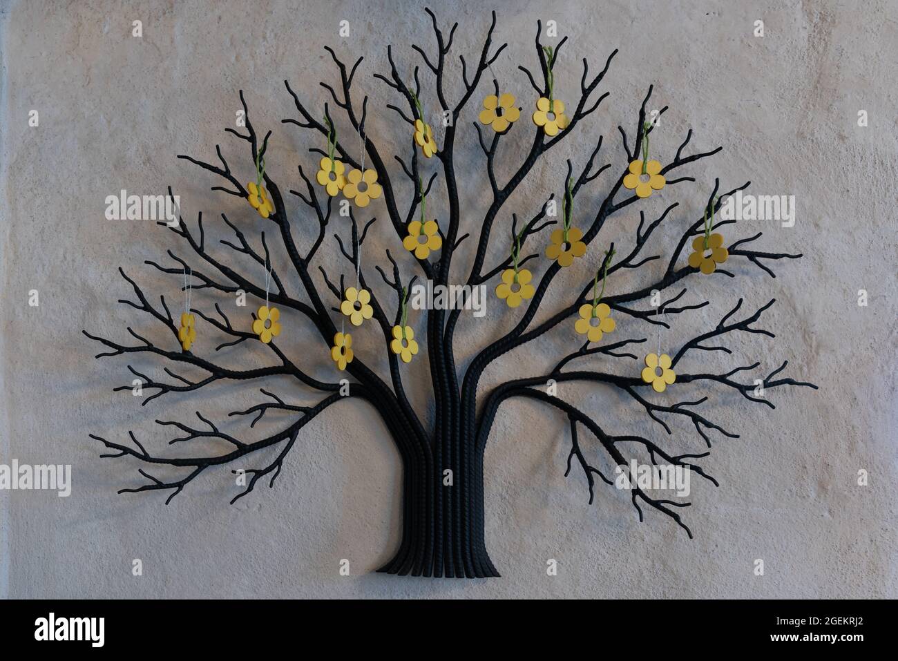 Iron tree hi-res stock photography and images - Alamy