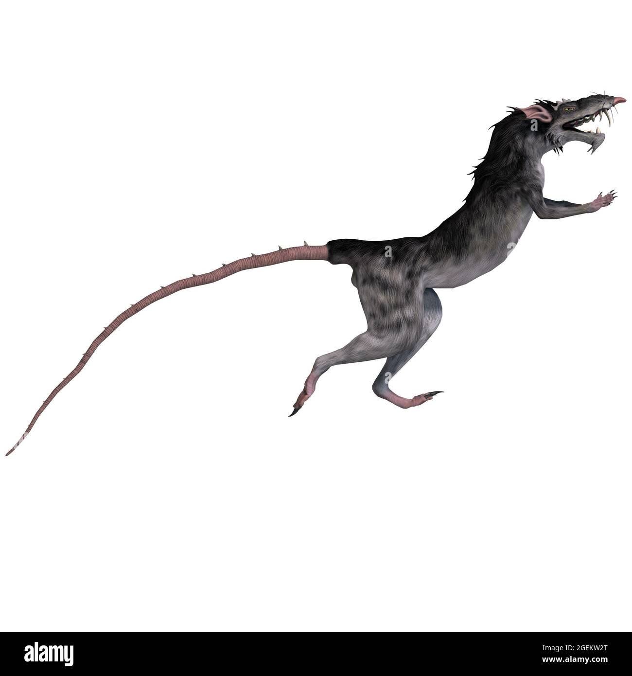 3d-illustration of an isolated giant monster rat creature Stock Photo ...