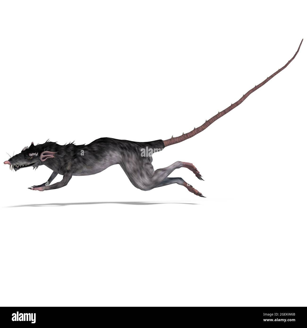 3d-illustration of an isolated giant monster rat creature Stock Photo ...