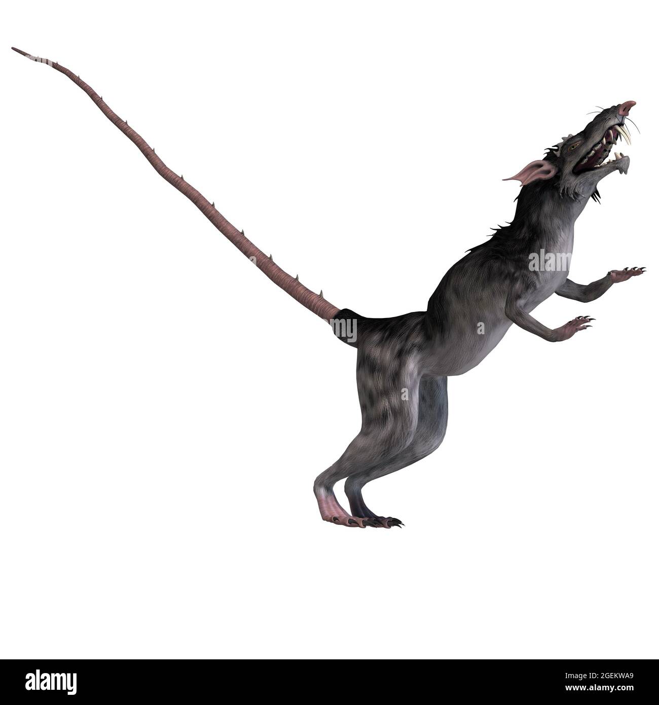3d-illustration of an isolated giant monster rat creature Stock Photo ...