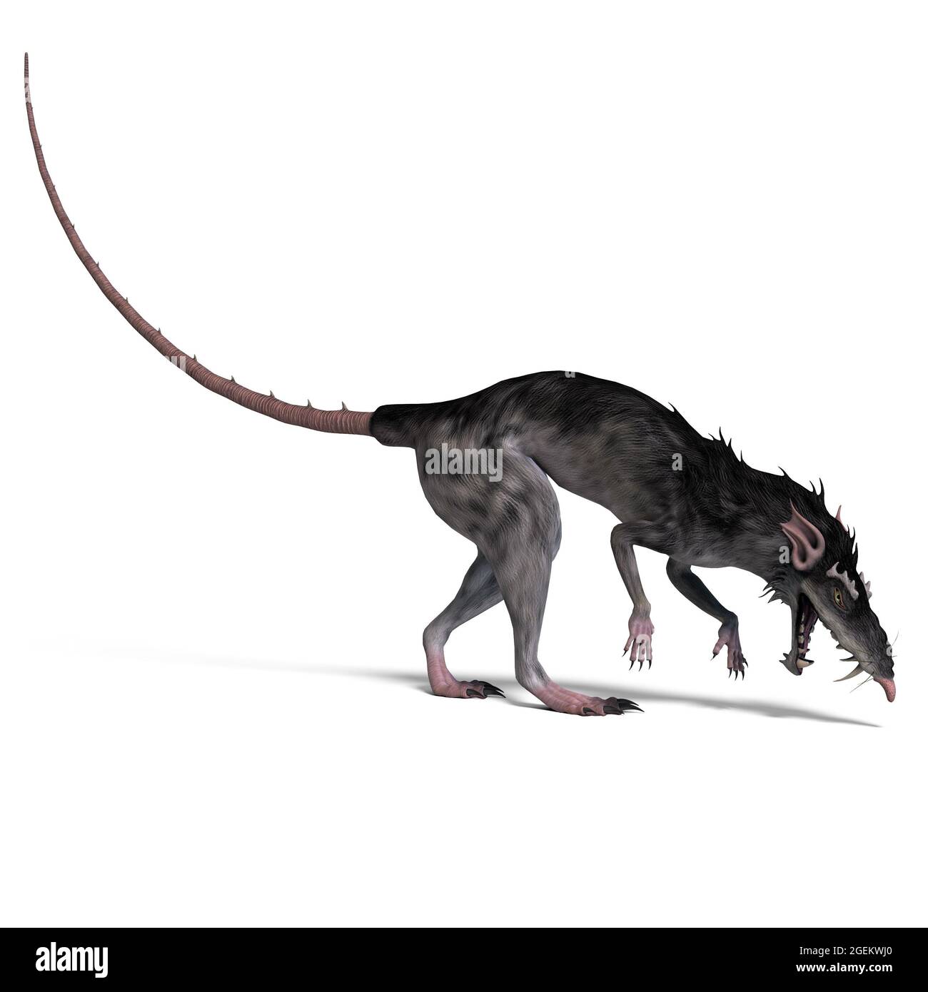 3d-illustration of an isolated giant monster rat creature Stock Photo ...