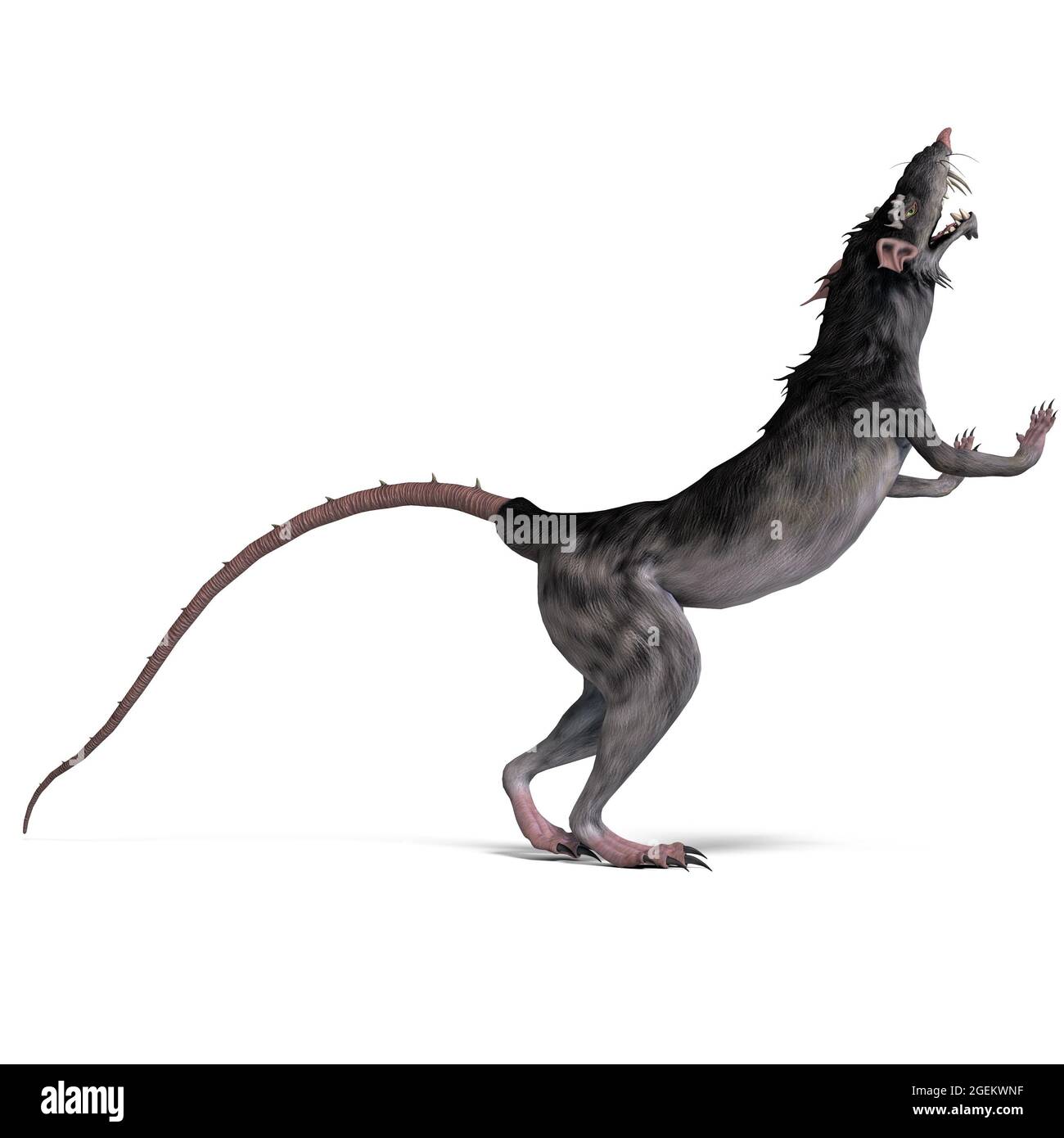 3d-illustration of an isolated giant monster rat creature Stock Photo ...