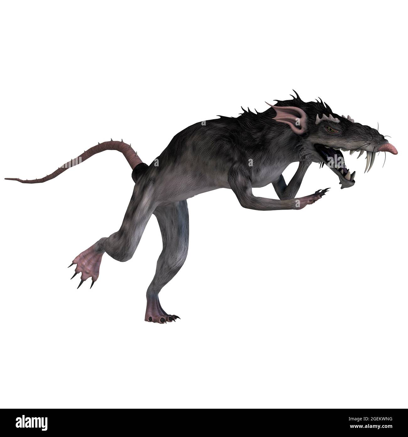 3d-illustration of an isolated giant monster rat creature Stock Photo ...