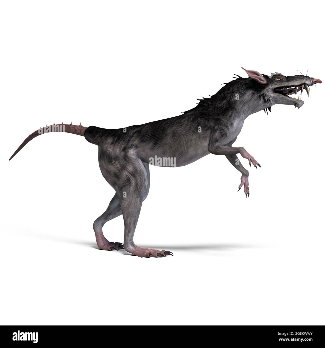 3d-illustration of an isolated giant monster rat creature Stock Photo ...