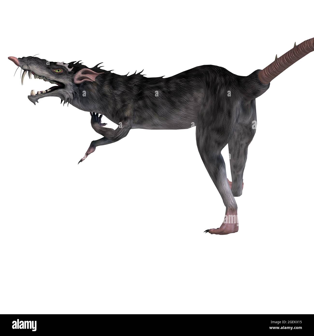 3d-illustration of an isolated giant monster rat creature Stock Photo ...