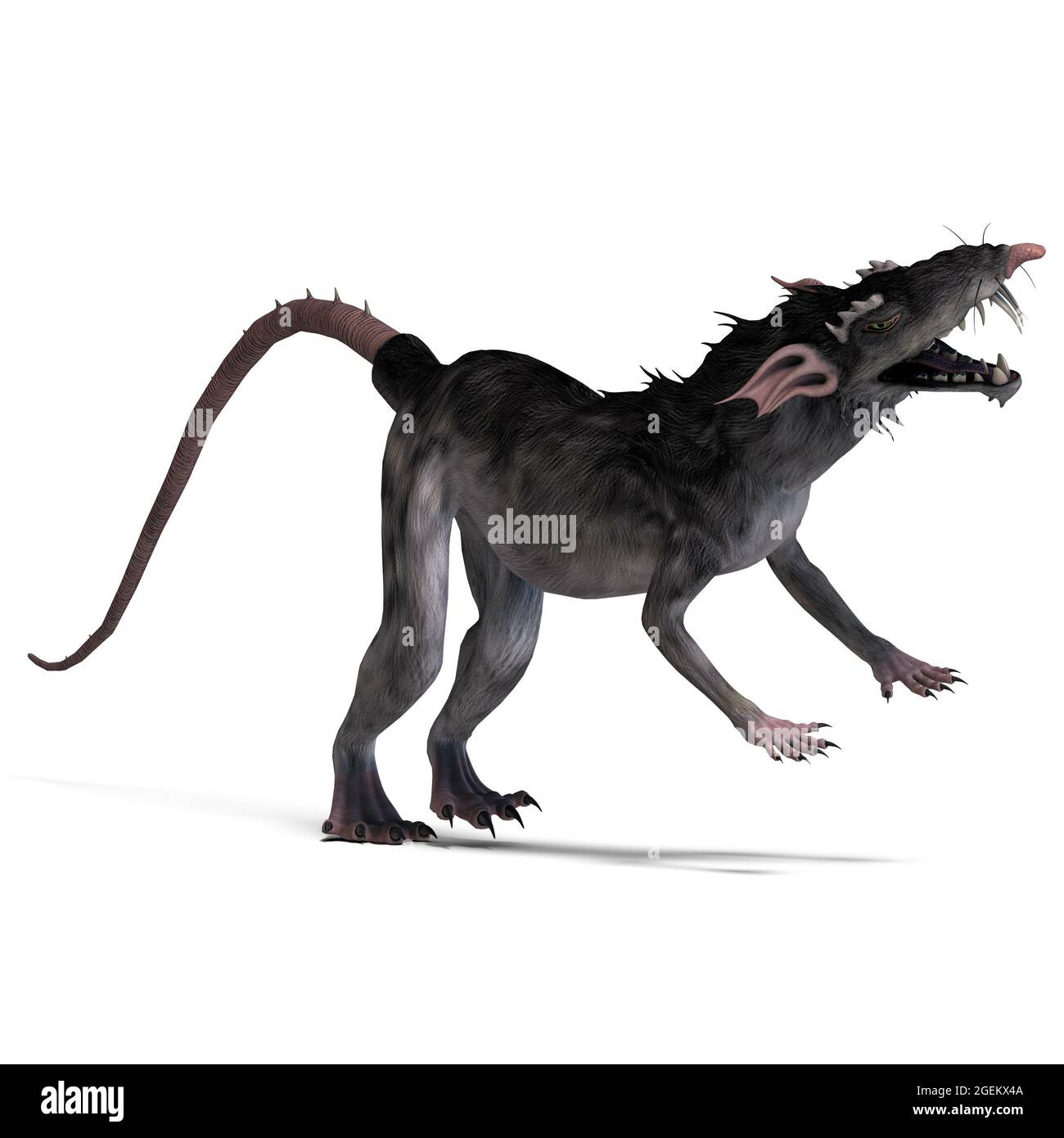 3d-illustration of an isolated giant monster rat creature Stock Photo ...