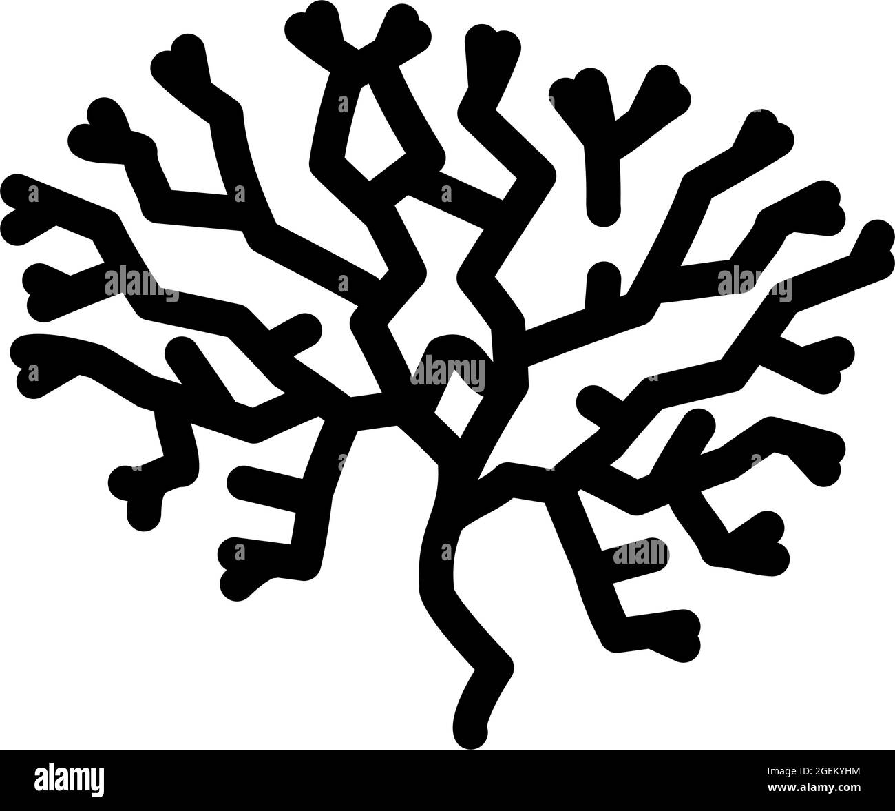 irish moss seaweed line icon vector illustration Stock Vector Image ...