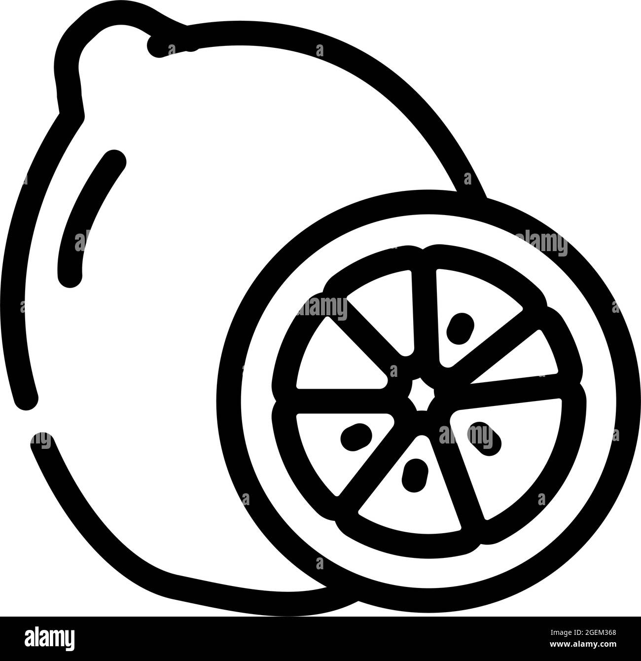 lime fruit line icon vector illustration Stock Vector Image & Art - Alamy