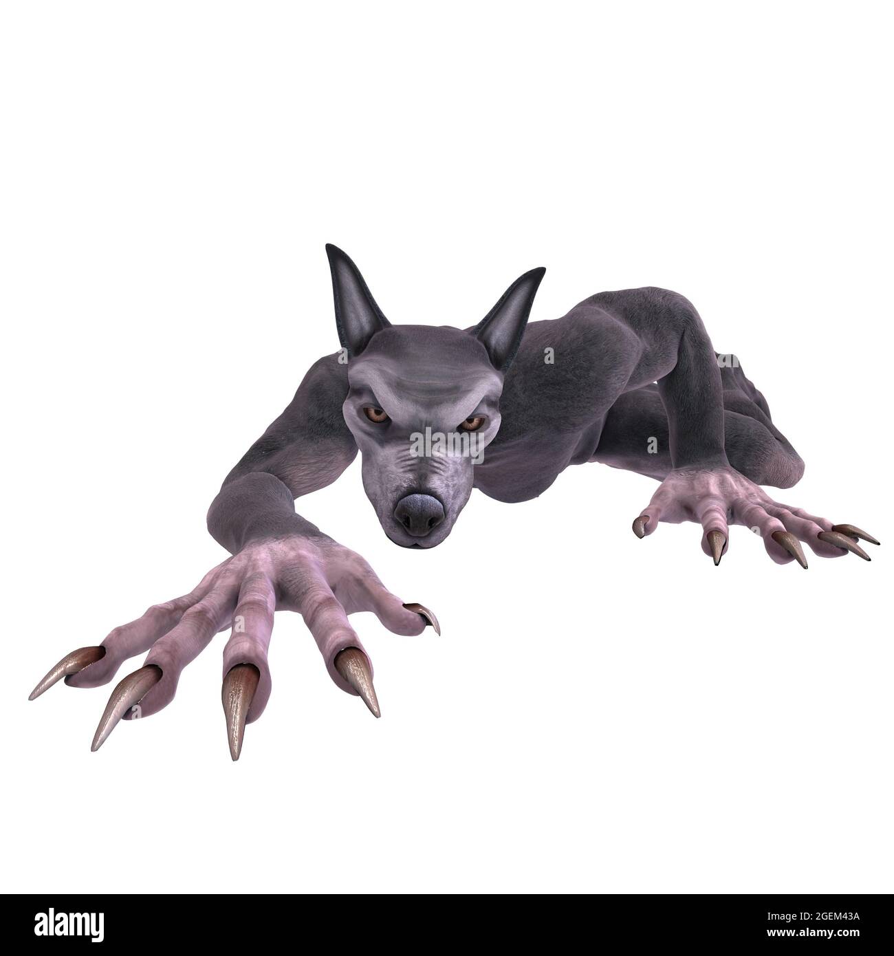Scary wolf illustration hi-res stock photography and images - Alamy