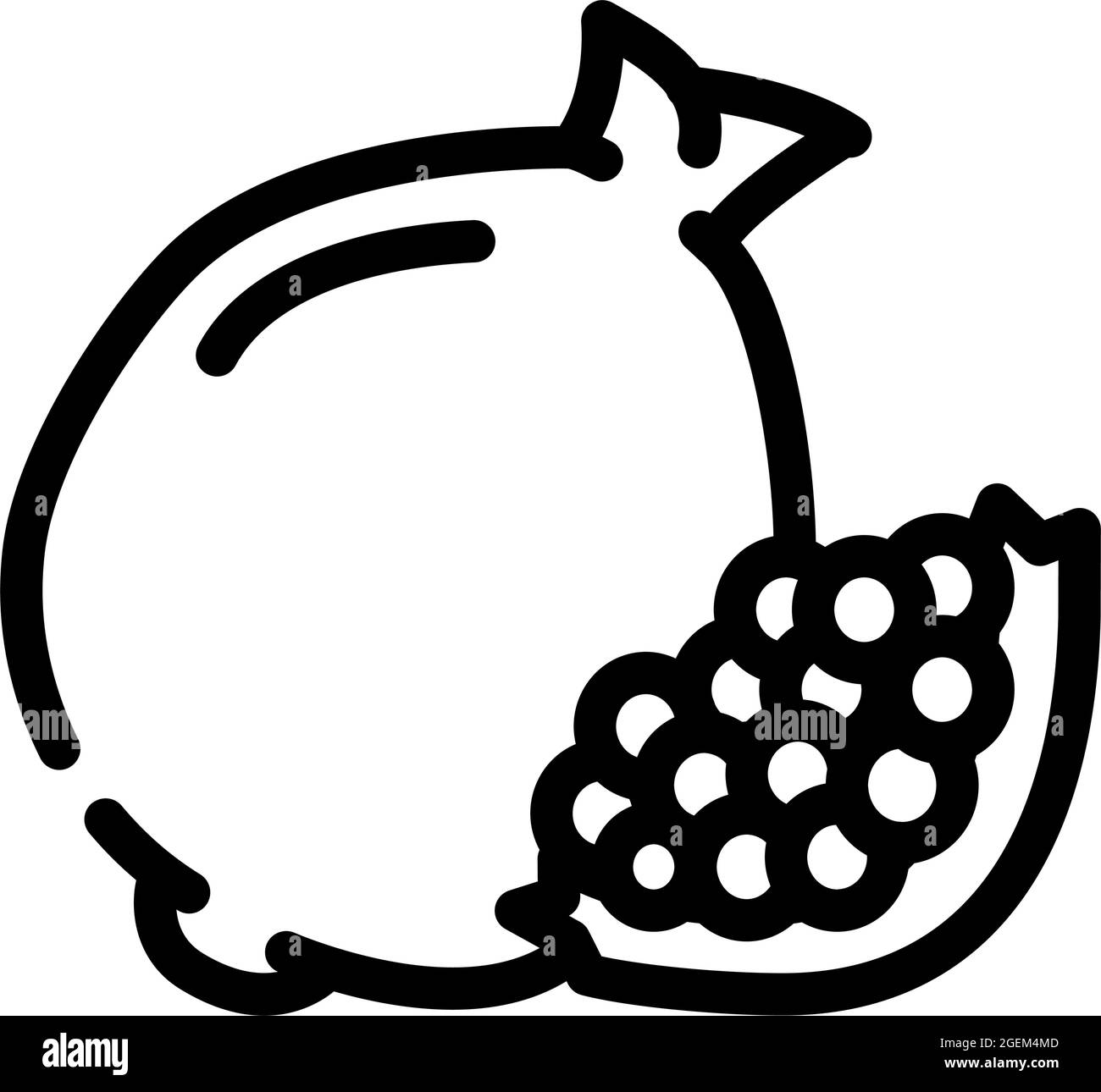 pomegranate fruit line icon vector illustration Stock Vector Image ...