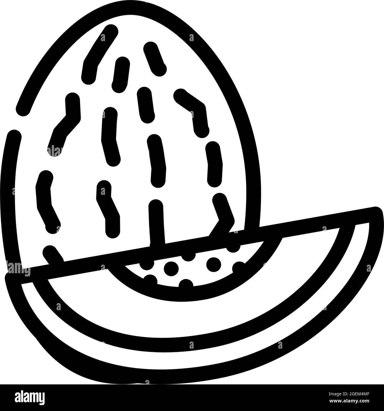 melon fruit line icon vector illustration Stock Vector Image & Art - Alamy