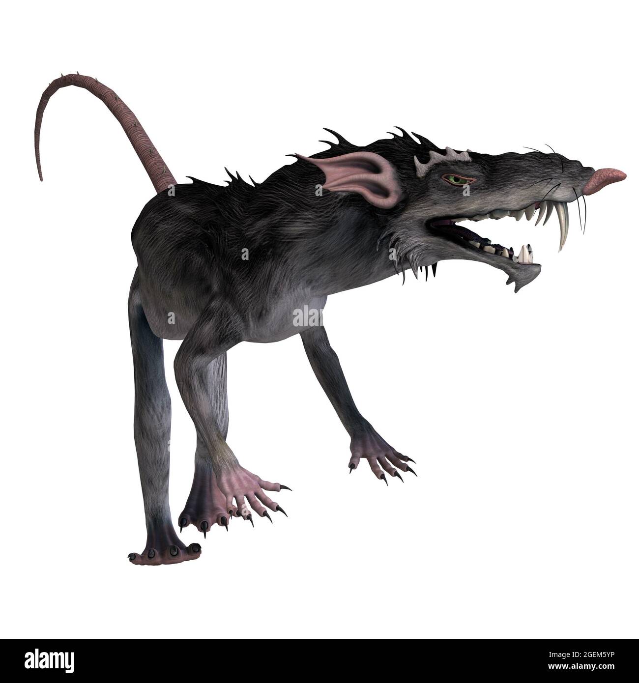 Vermin illustration hi-res stock photography and images - Alamy