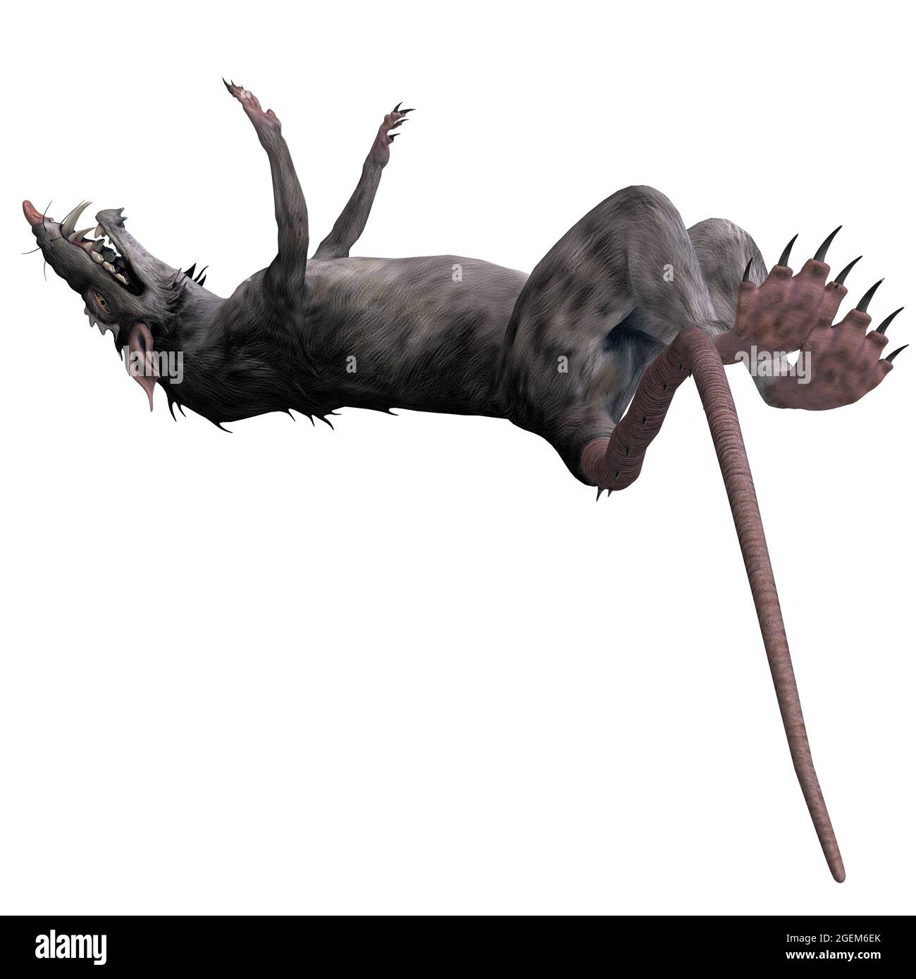 3d-illustration of an isolated giant monster rat creature Stock Photo ...