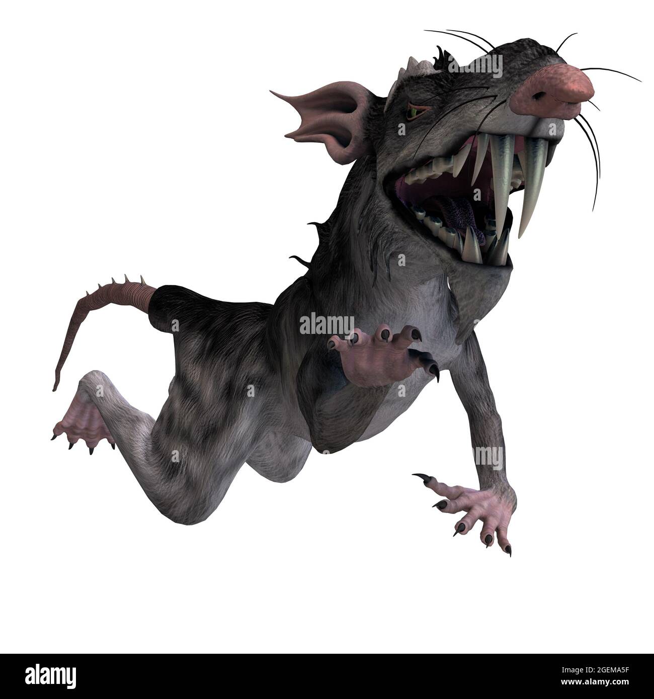 Illustration muskrat hi-res stock photography and images - Alamy