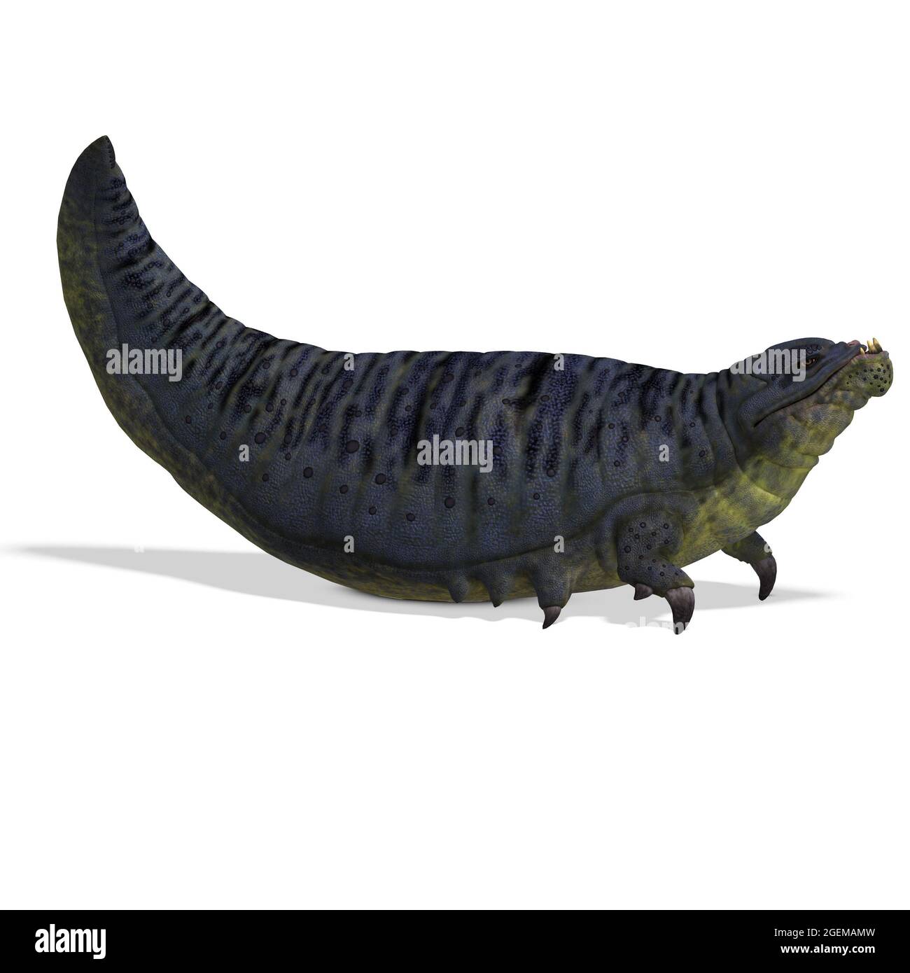 3D-illustration of a extinct dinosaur worm. isolated rendering object ...