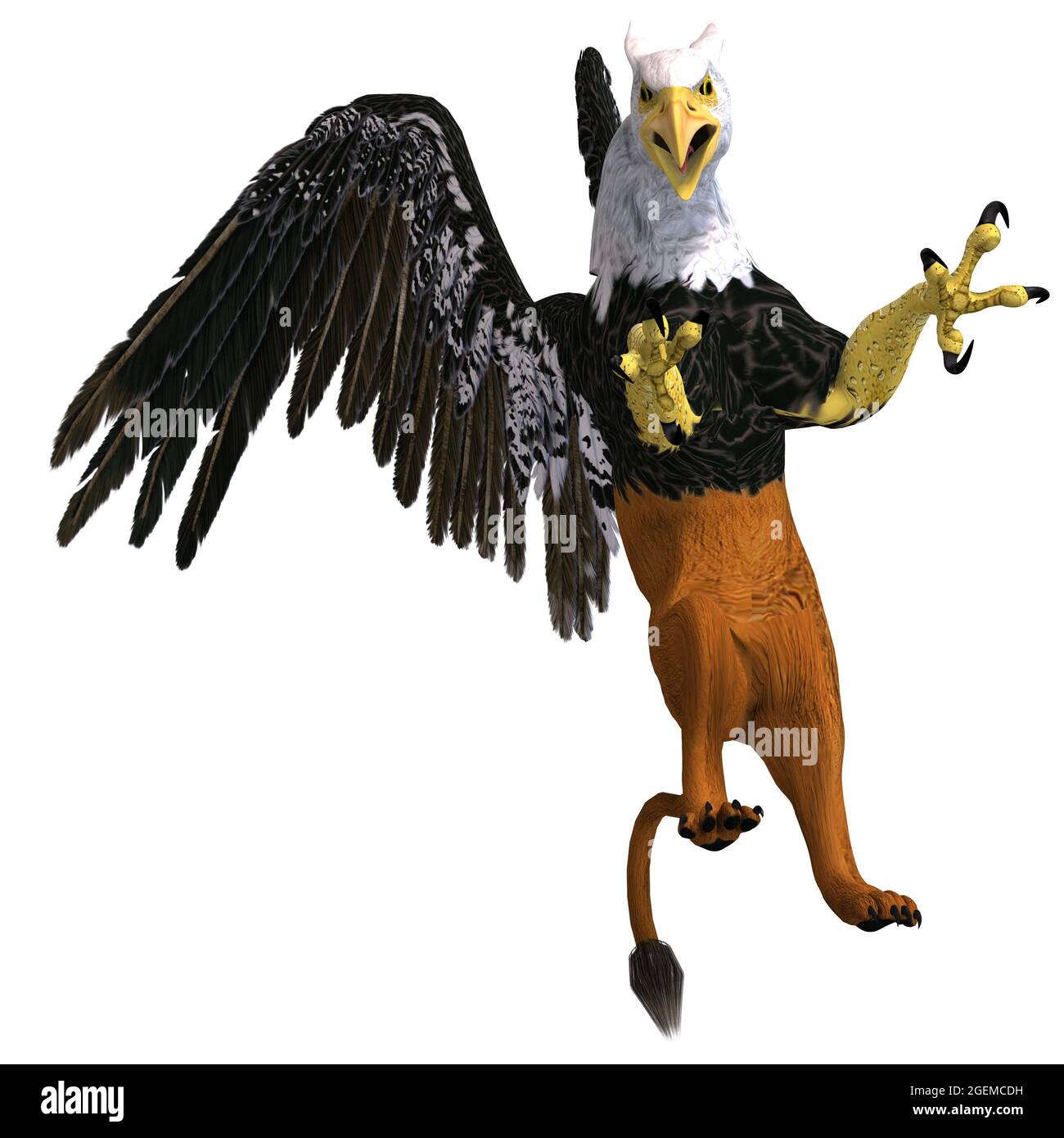 Griffin mythical creature clipart hi-res stock photography and images ...