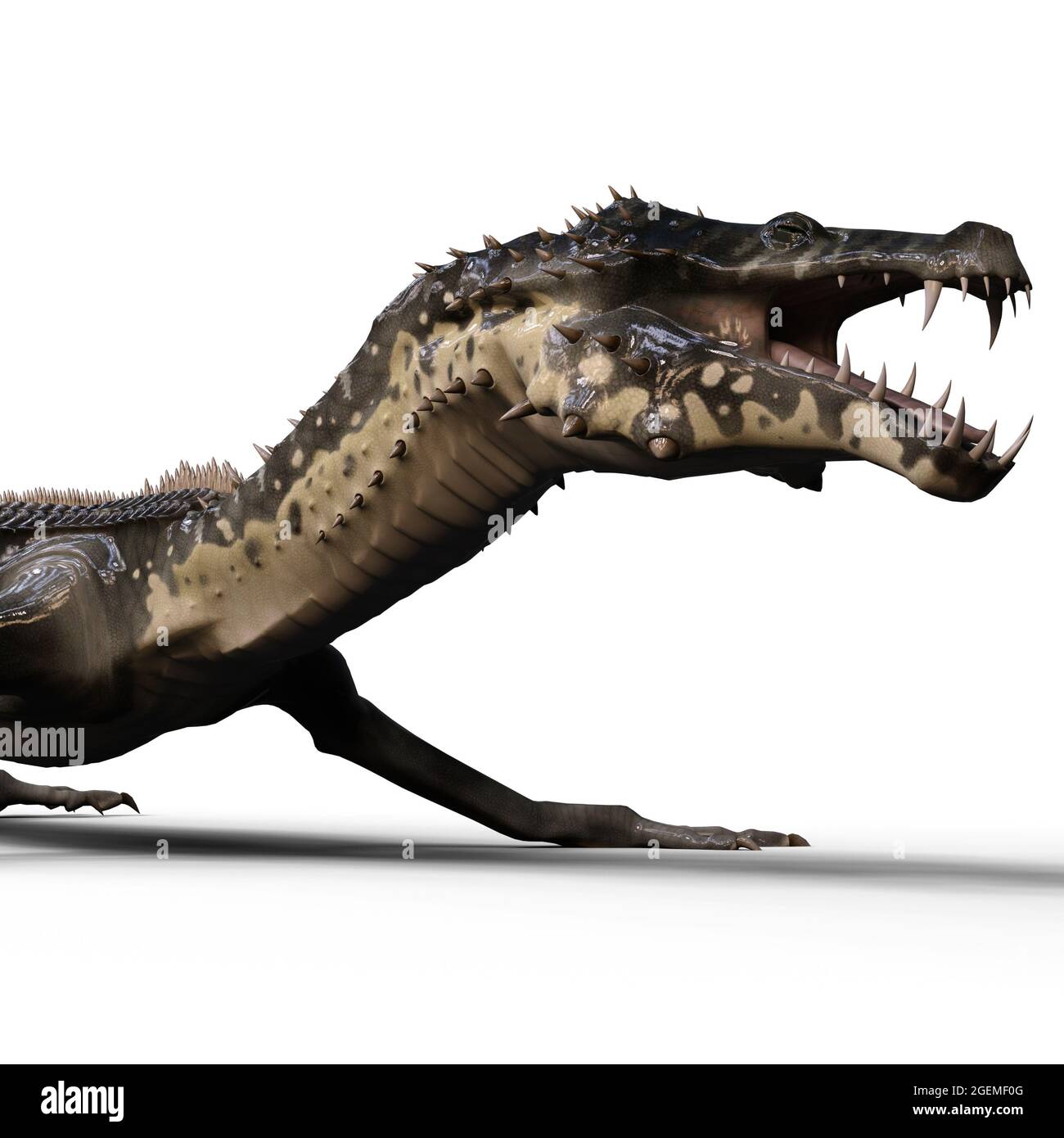 Reptilian draco hi-res stock photography and images - Alamy