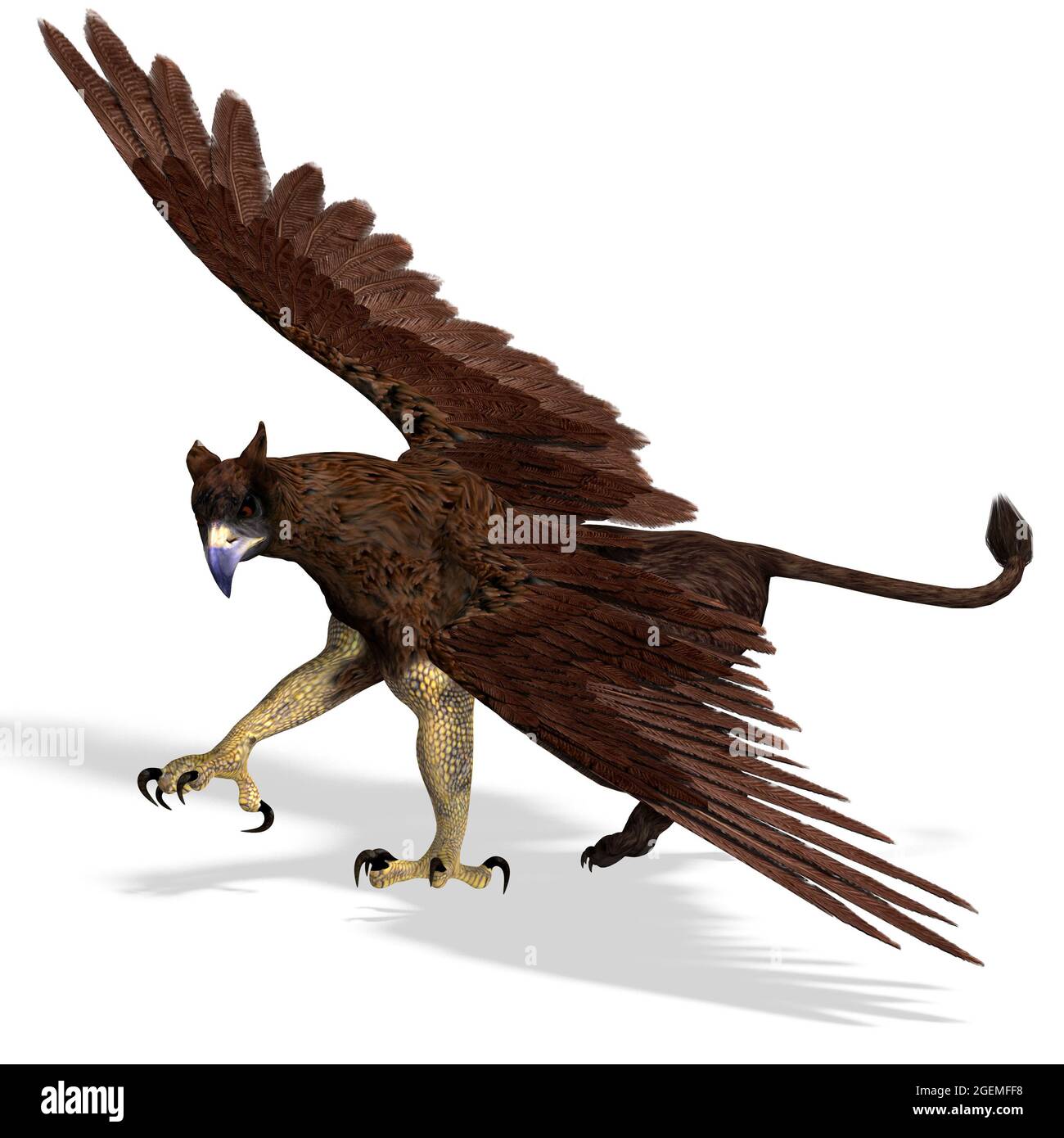 Winged lion griffin Cut Out Stock Images & Pictures - Alamy