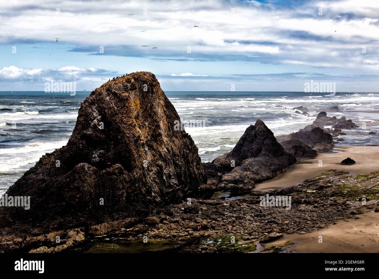 Seal Rock Beach, Oregon Stock Photo - Alamy