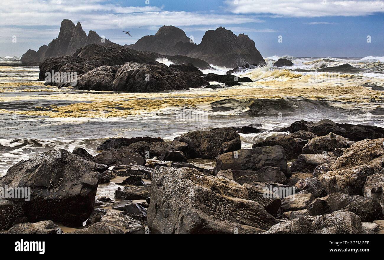 Seal Rock Beach, Oregon Stock Photo - Alamy