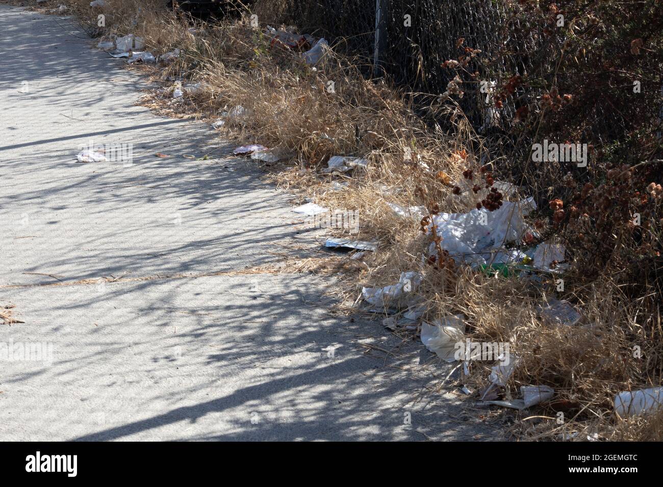 dead dried grass covered in trash and litter on the side of a dirt ...