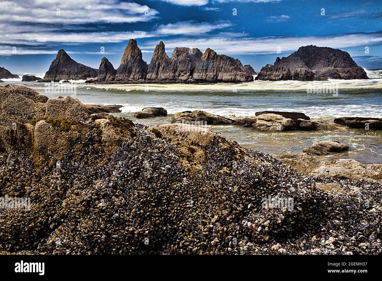 Seal Rock Beach, Oregon Stock Photo - Alamy